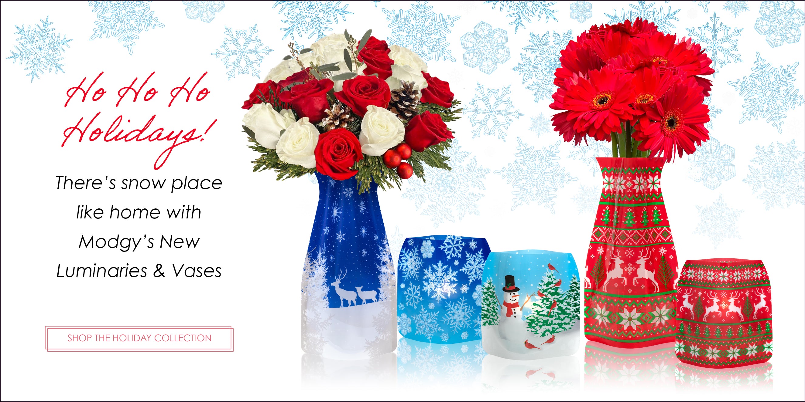 Modgy is an innovative gift and home products company
