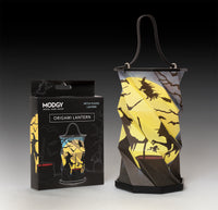 Origami Lanterns - Modgy
