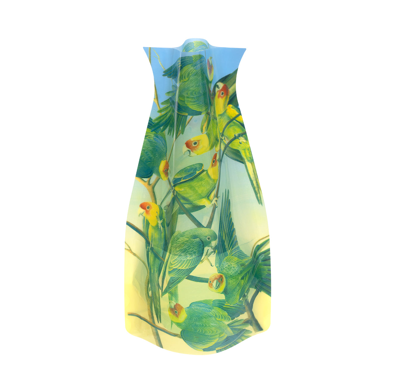 Tropical Collection - Modgy