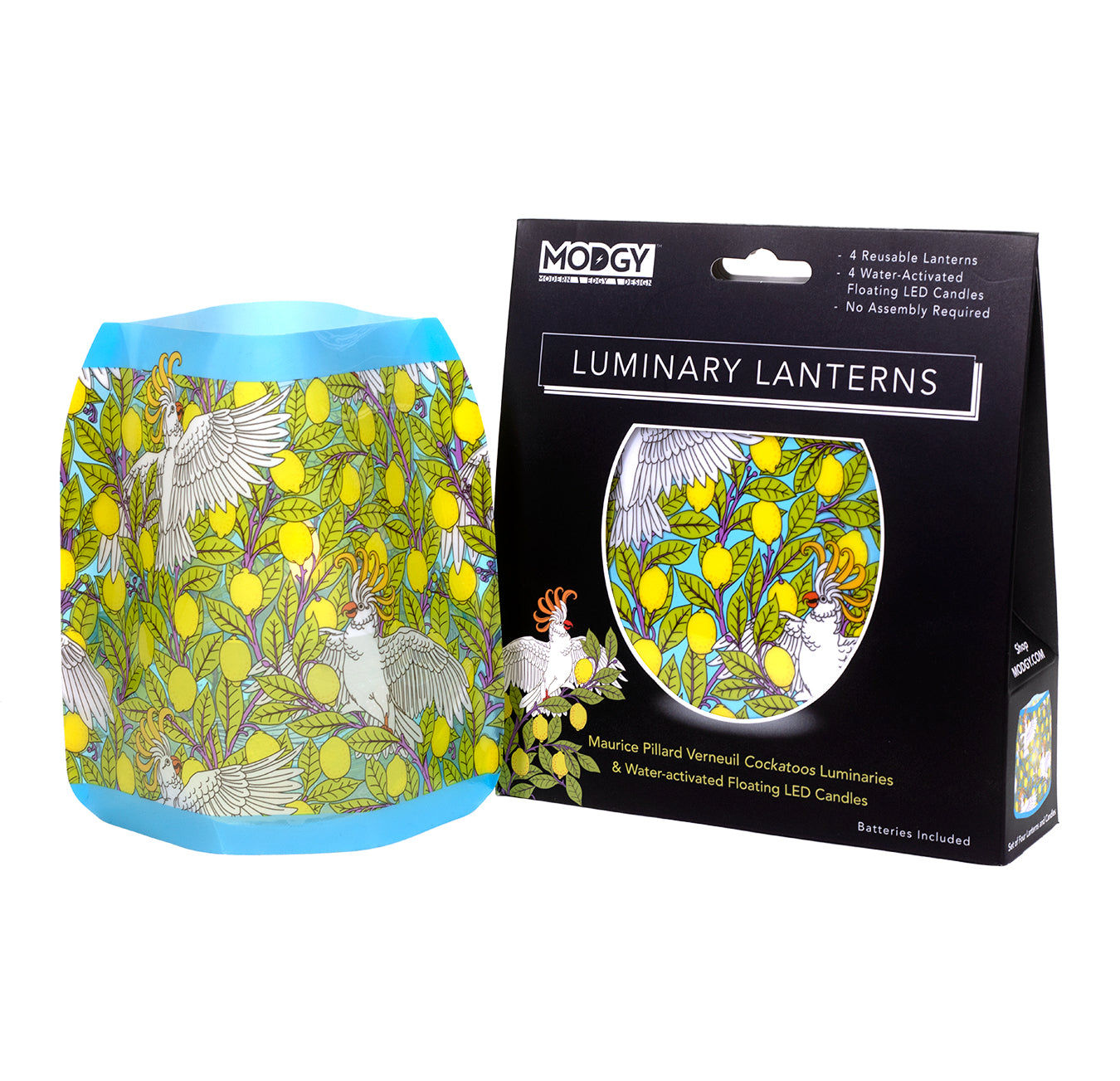 Tropical Collection - Modgy